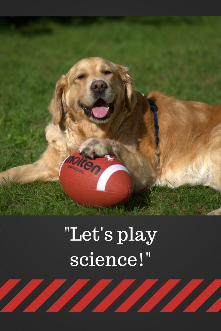 Dog Science Unleashed – Once Upon a Science Book